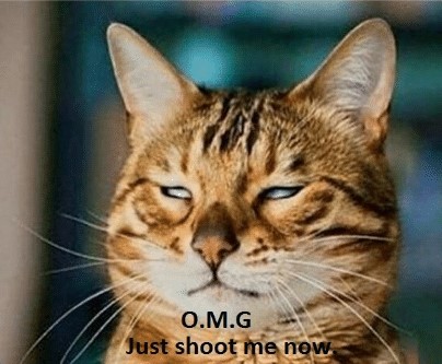 Just Shoot Me Now | strangely peculiar